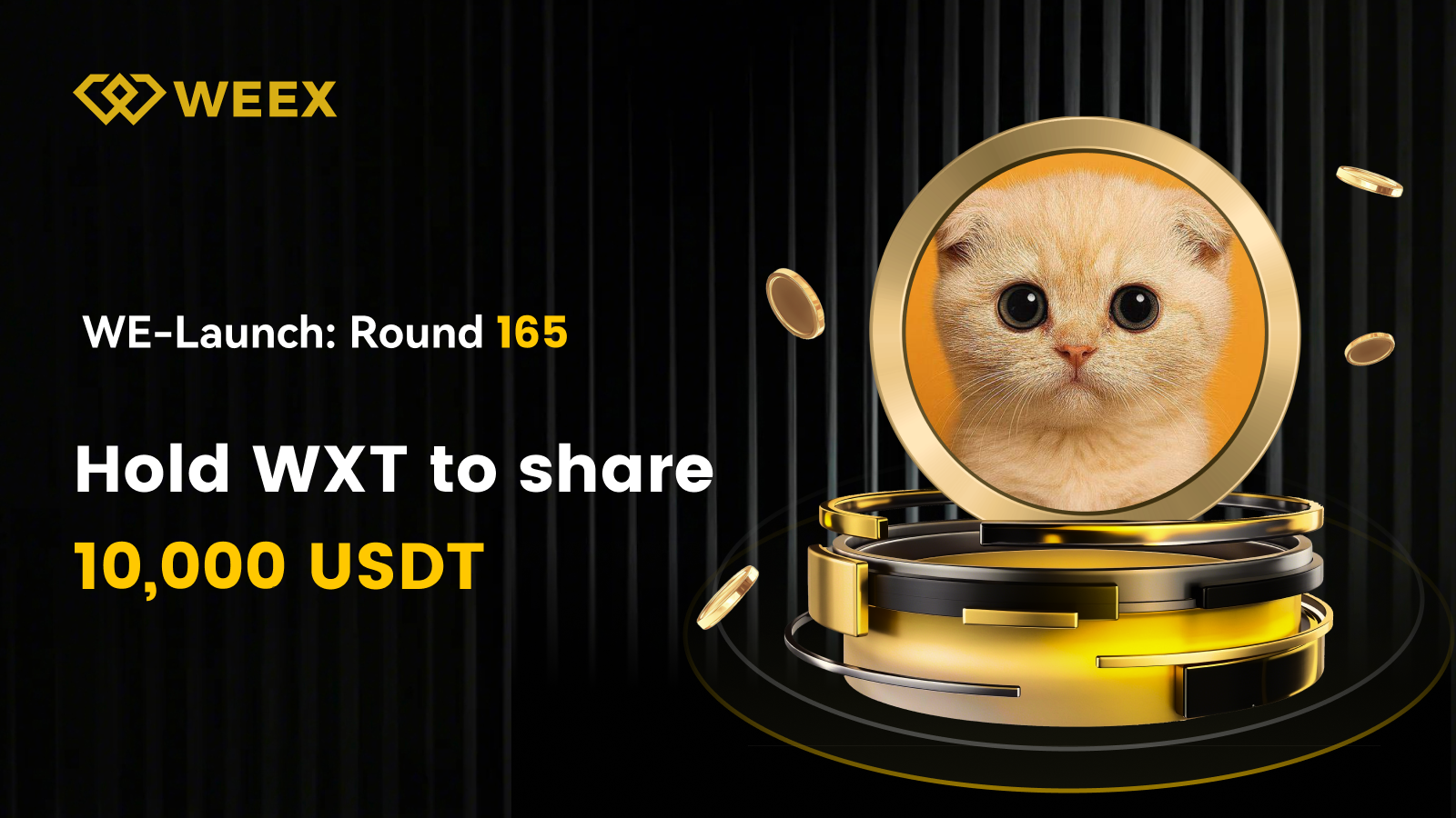 WEEX WE-Launch - Sachi Coin (SACHI) Listed & 10,000 USDT Airdrops! – WEEX